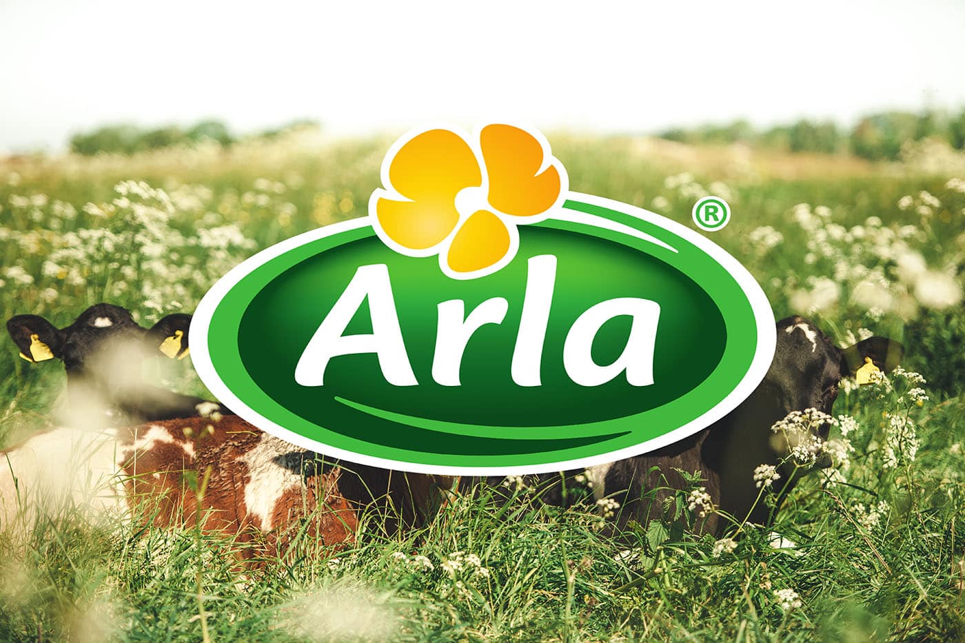 Stort tack till Arla Foods - Human Language